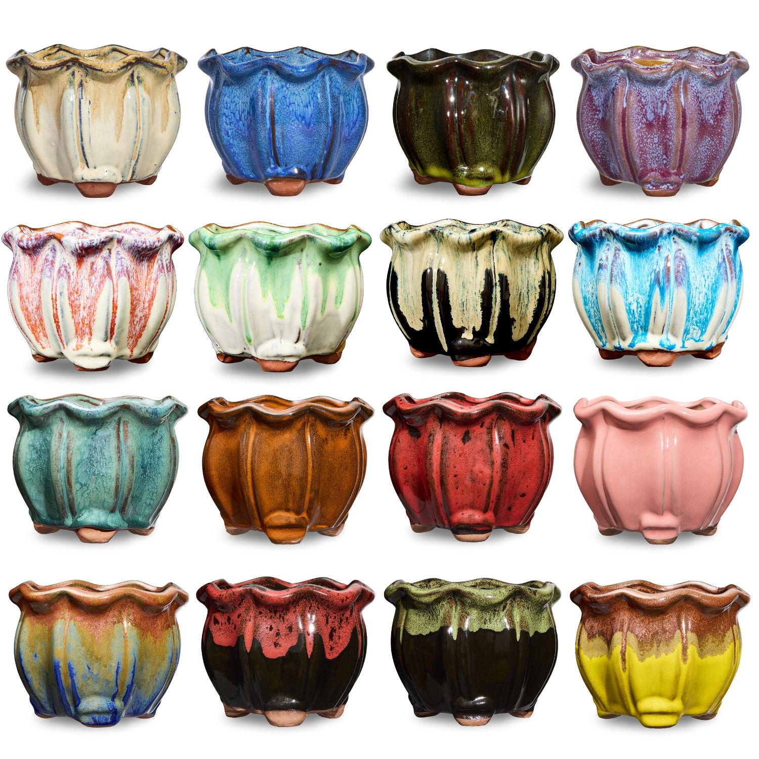 16 Collectors Pack of Succulent Pots – AusGardo