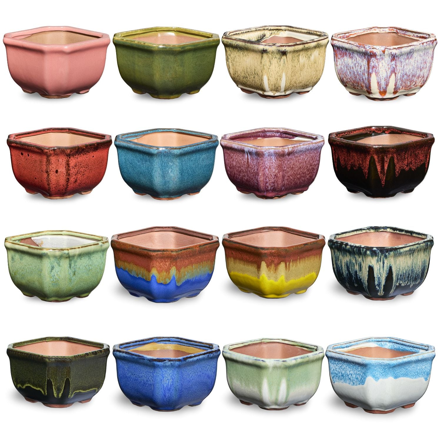 16 Collectors Pack of Square Succulent Pots – AusGardo